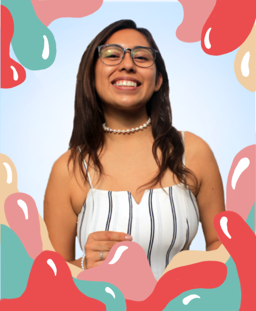 Zamper Portfolio - Index